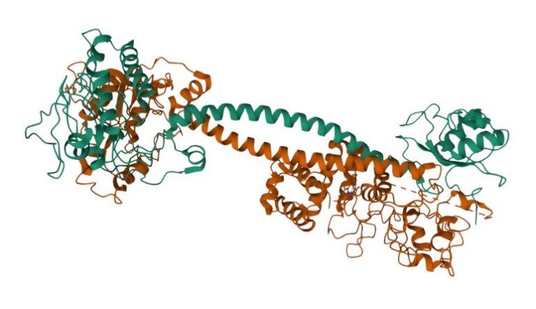 Biomolekül des Monats: Stickstoffmonoxid - PharmBlog